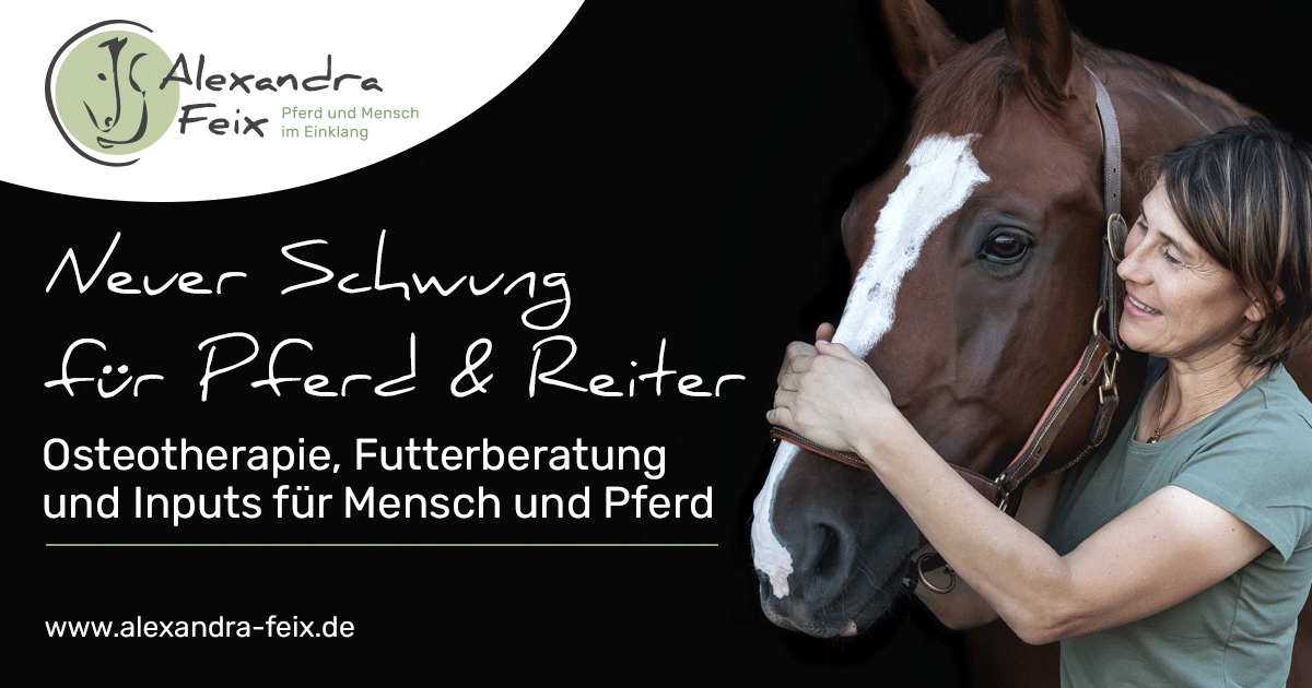 Onlineprogramm „Rumpfträger-Training” • Alexandra Feix